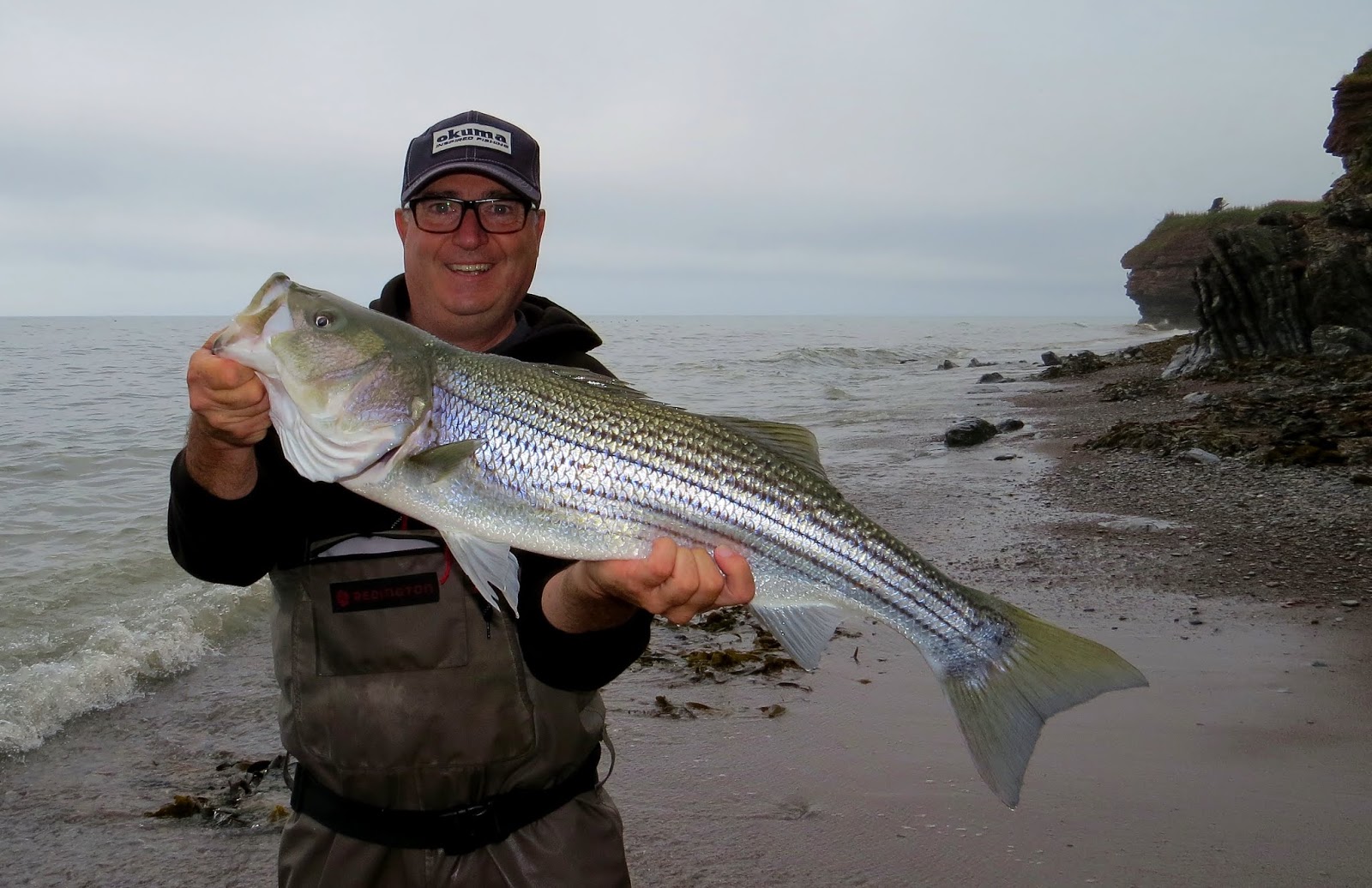 Bar rayé - Quelle passion : La Gaspésie - Quelle belle région