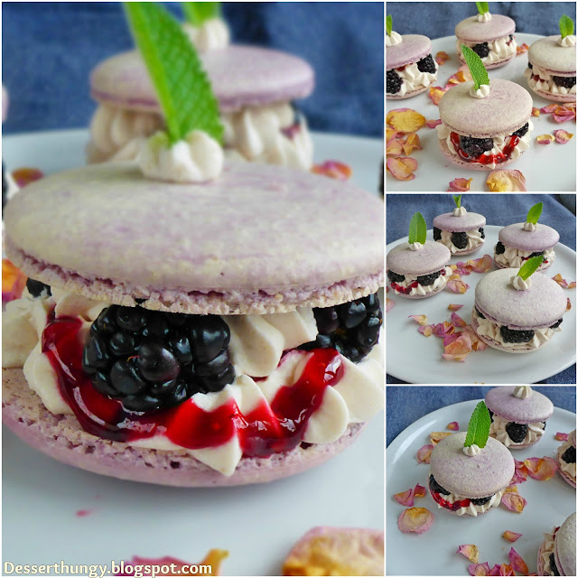 Blackberry macarons