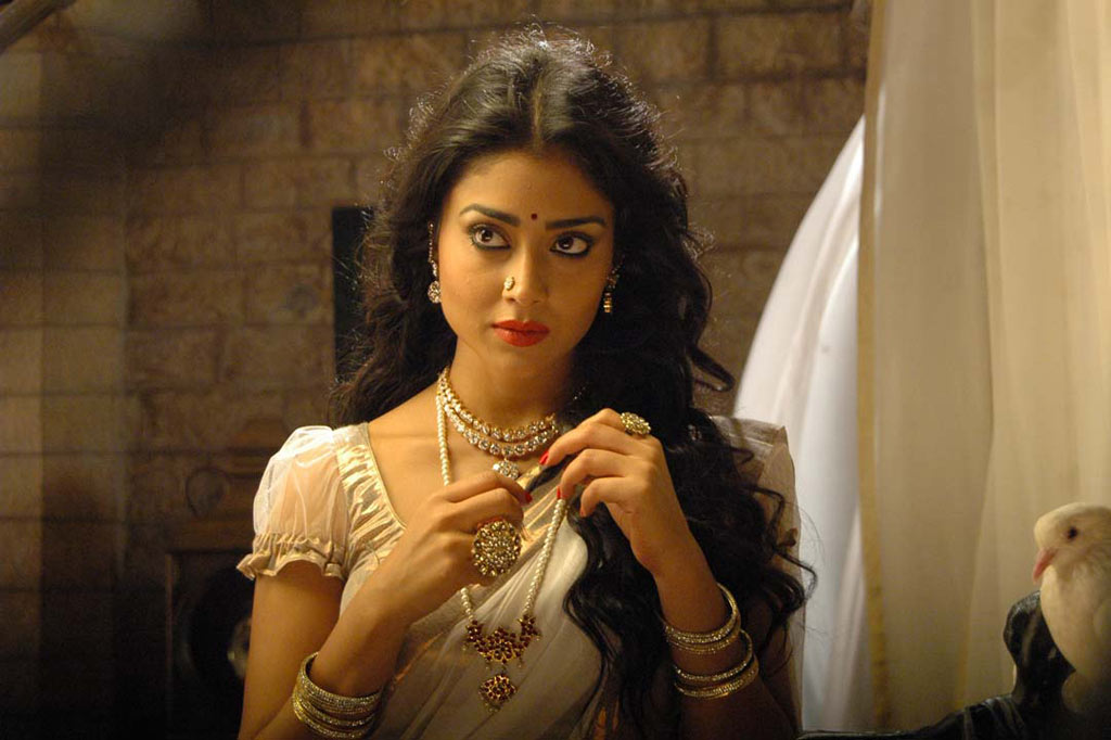DESI ACTRESS PICTURES: Shriya Saran Hot Photos from Chandra Movie