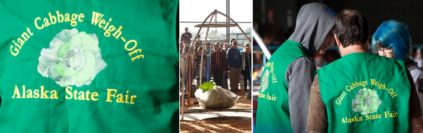 If I Were Going...: Alaska #12: Alaska State Fair