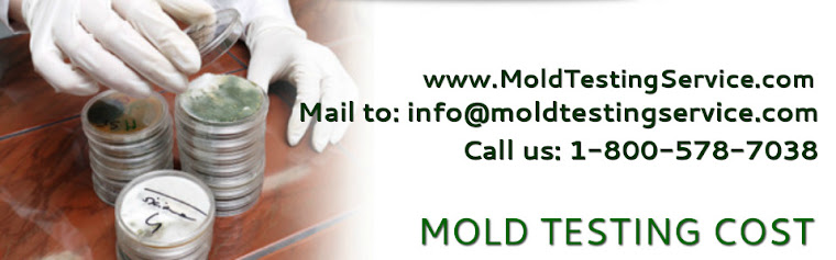 Mold Testing Services St. Louis