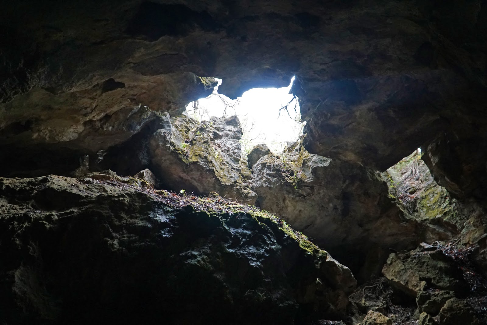 Calgardup Cave (Leeuwin-Naturaliste National Park) ~ The Long Way's Better