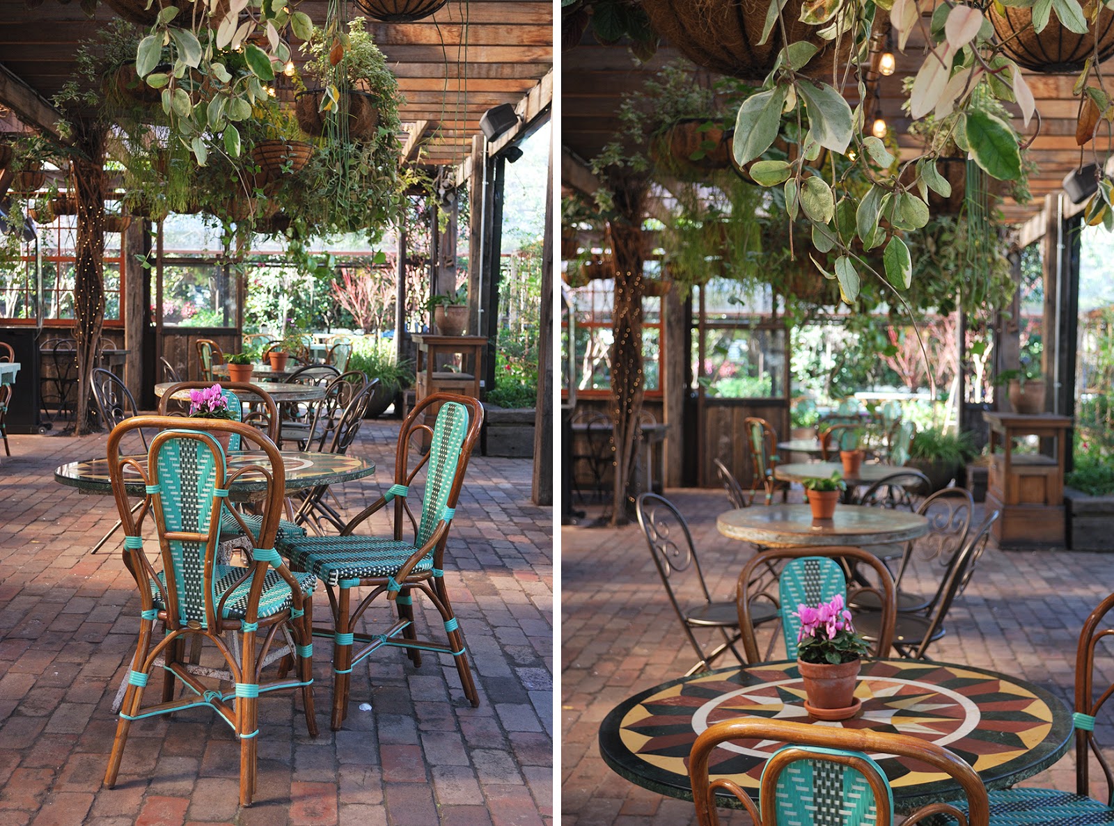 The Australia Series: The Grounds of Alexandria | Memories of the Pacific