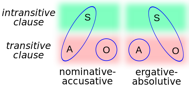500 Word Answers: ConLing - How does ergativity work?
