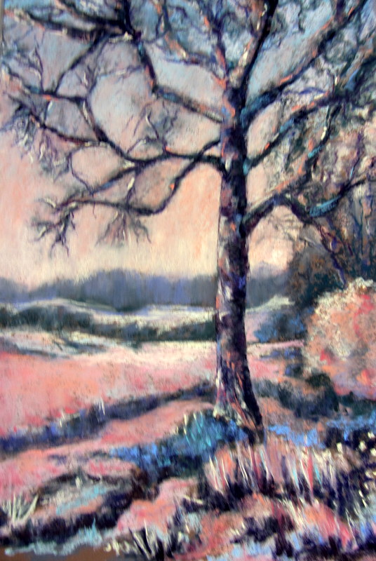 Couleurs à l'eau: Stage de pastel avec Patrick Henry