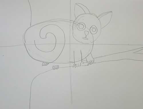 Animal Drawing: Bush Baby