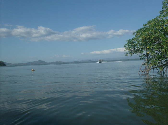 Welcome Isla de Chira, COSTA RICA.