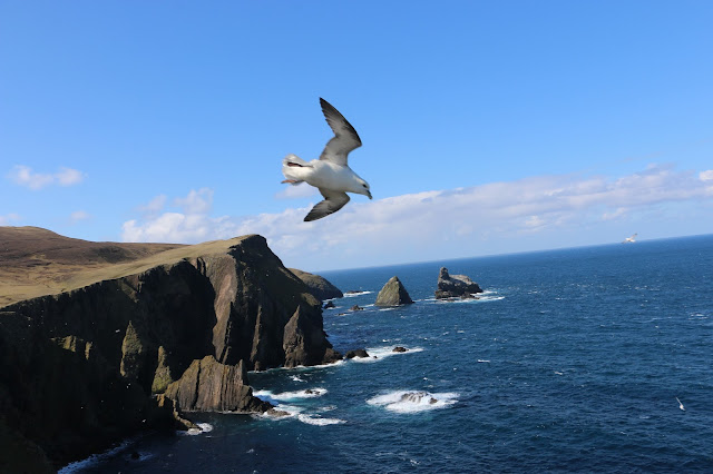 Fair Isle: Happy Easter! Random Photograrphs from this Morning.
