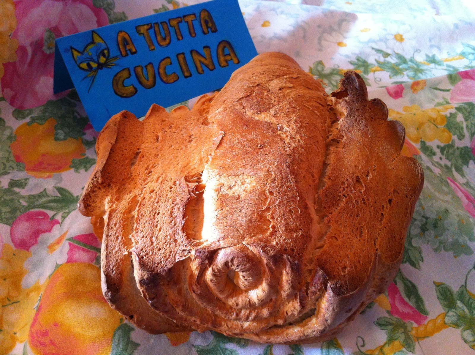 A TUTTA CUCINA: PANINI CIOPPA