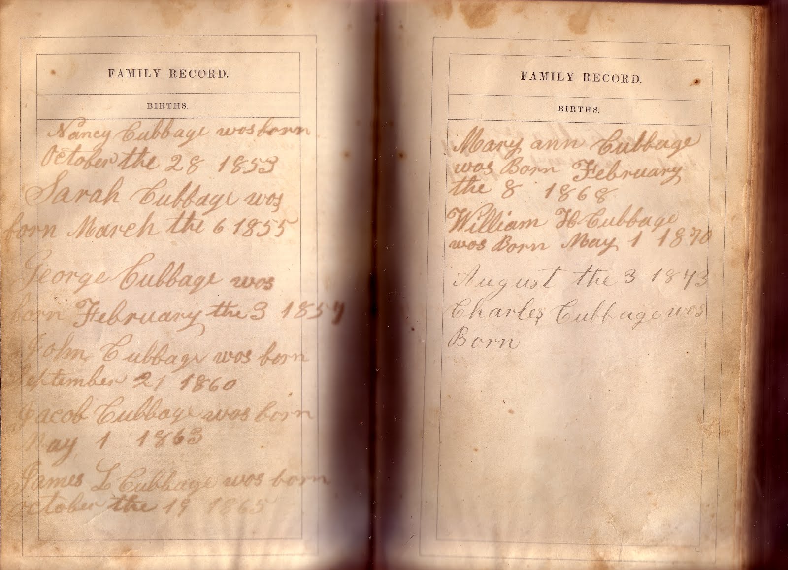 Cubbage Genealogy: Tombstone Tuesday - Sarah & Mary Cubbage