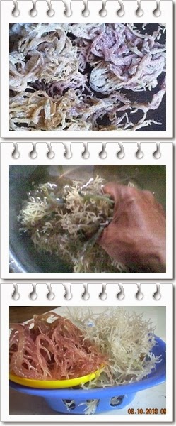 Cara Mudah Membuat Gel Rumput Laut