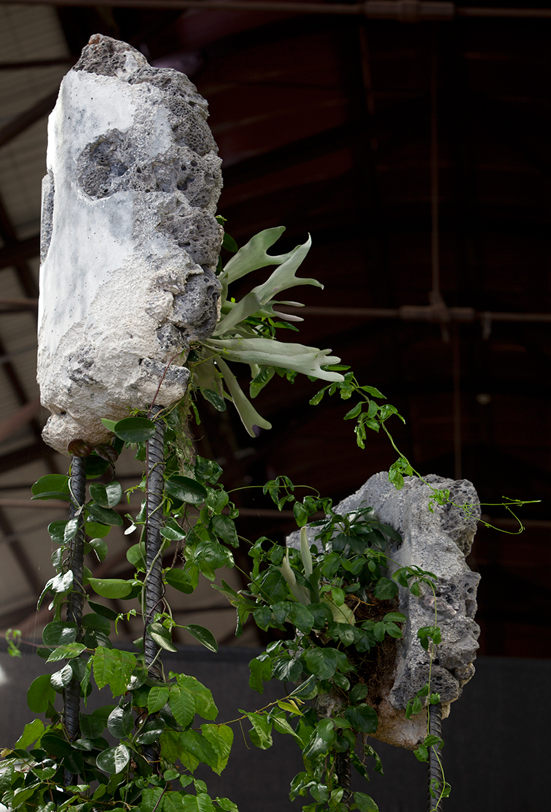 Digging In The Dirt: The work of Jamie North