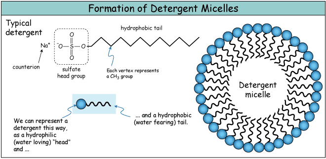 Biochemistry Made Easy: Water and pH