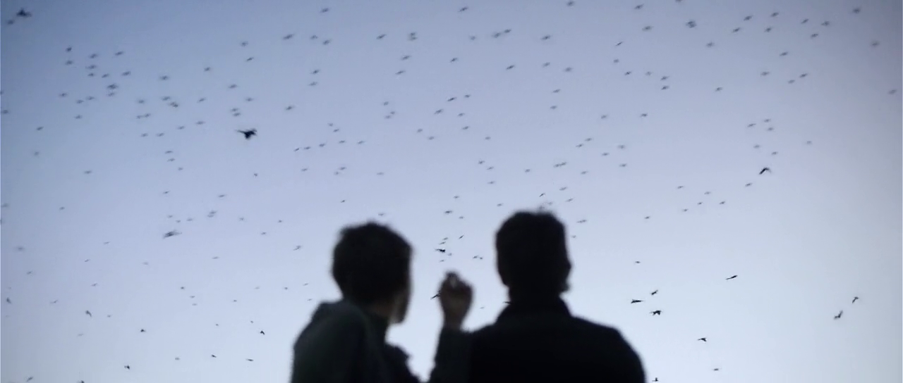 Upstream Color | And So It Begins...