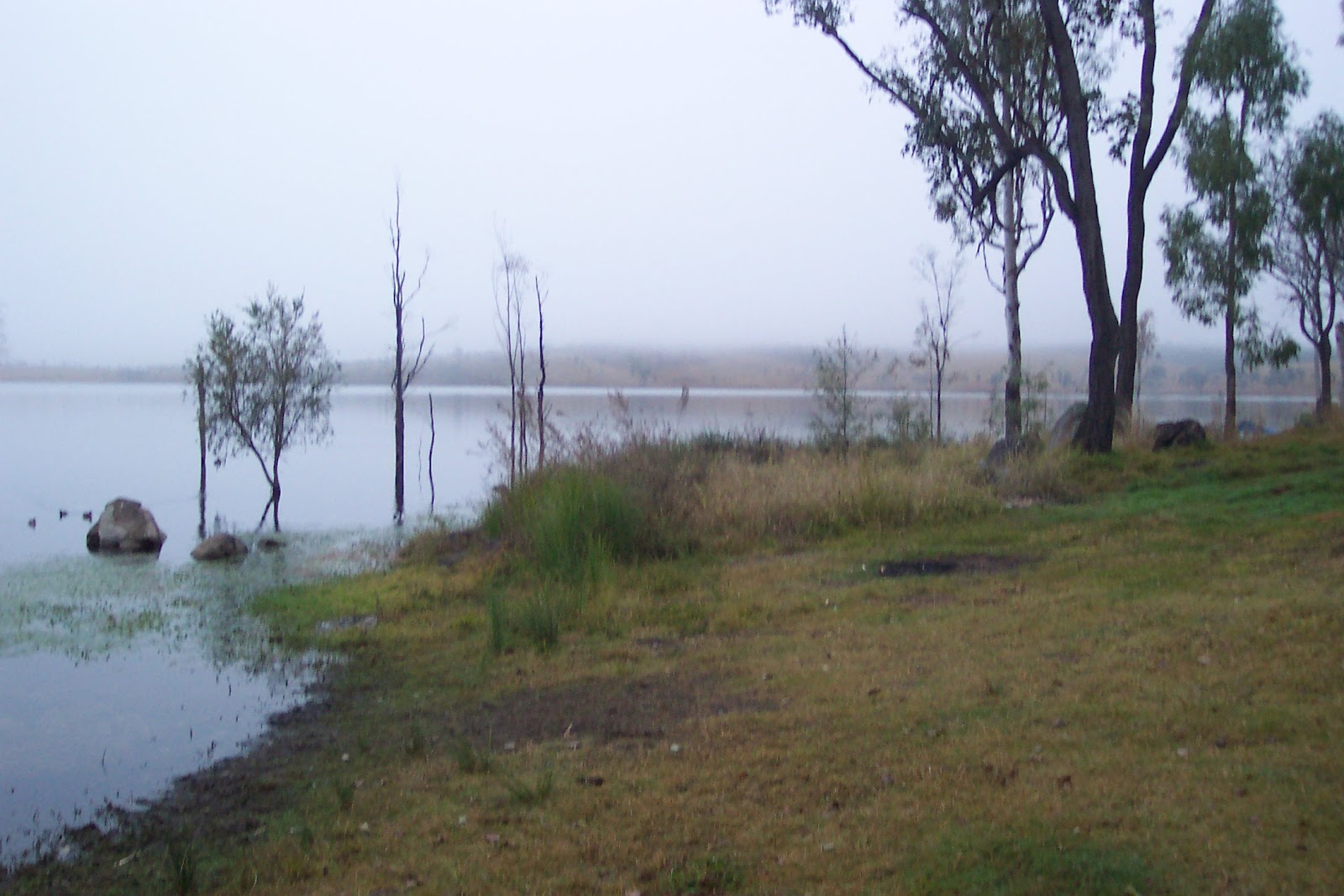 Gus Caravanning: June 2012