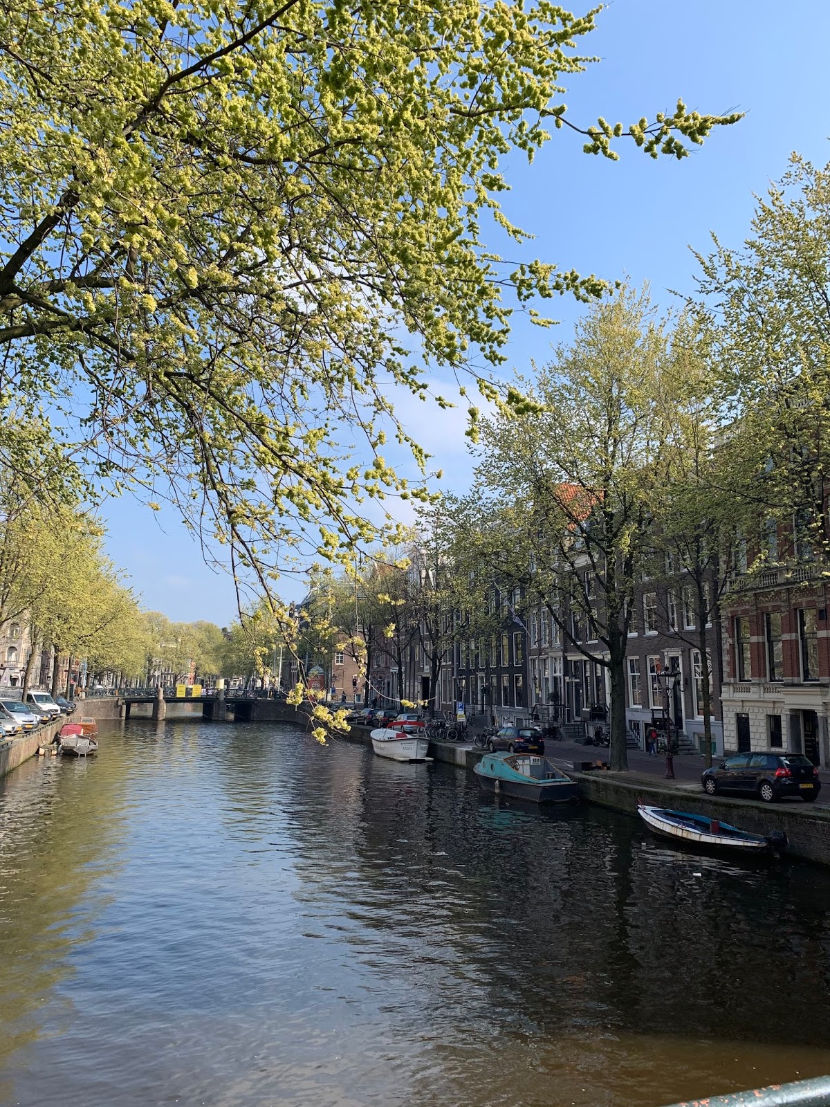 Travel // Amsterdam in Spring - Roses and Rolltops