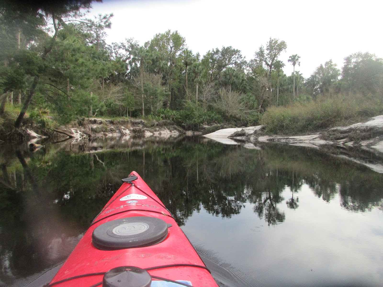 Dave's Yak Tales: Econlockhatchee River