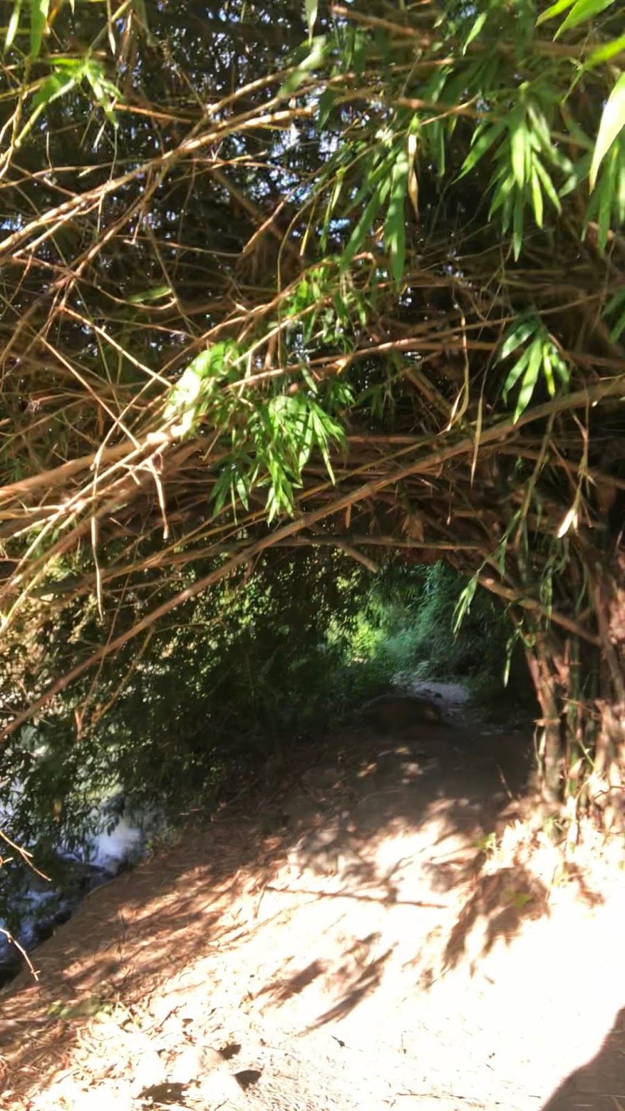 Macolletez: The Coddiwomple Feet: SAN CLEMENTE CAMILING TARLAC WONDERS ...