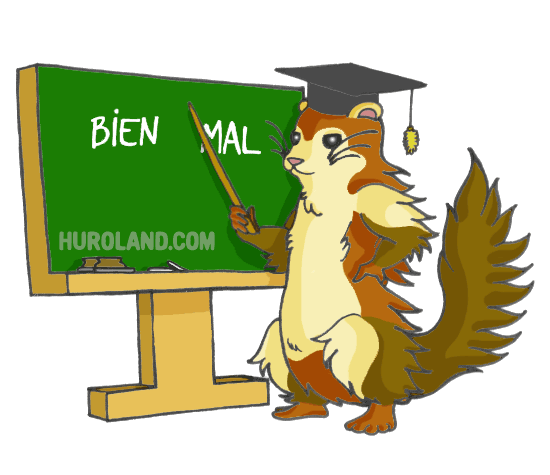 Imagenes animadas de que flojera - Imagui