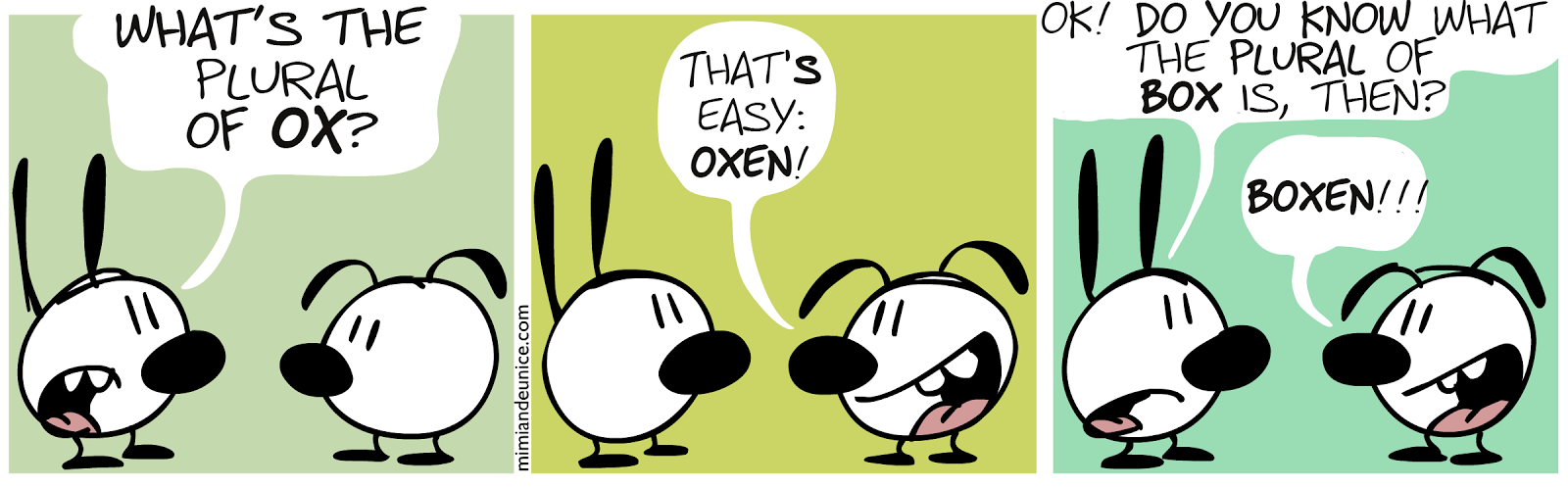 Irregular Plural - Summerhill STUDIO | Grammar