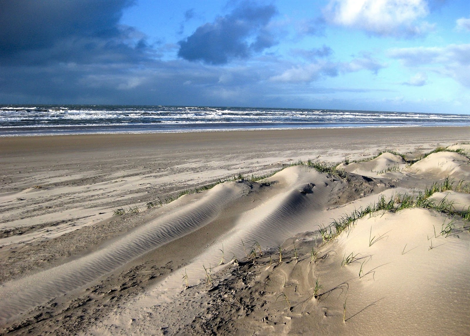 Mooiste Routes: Wandelen rond Castricum (Noord-Holland)