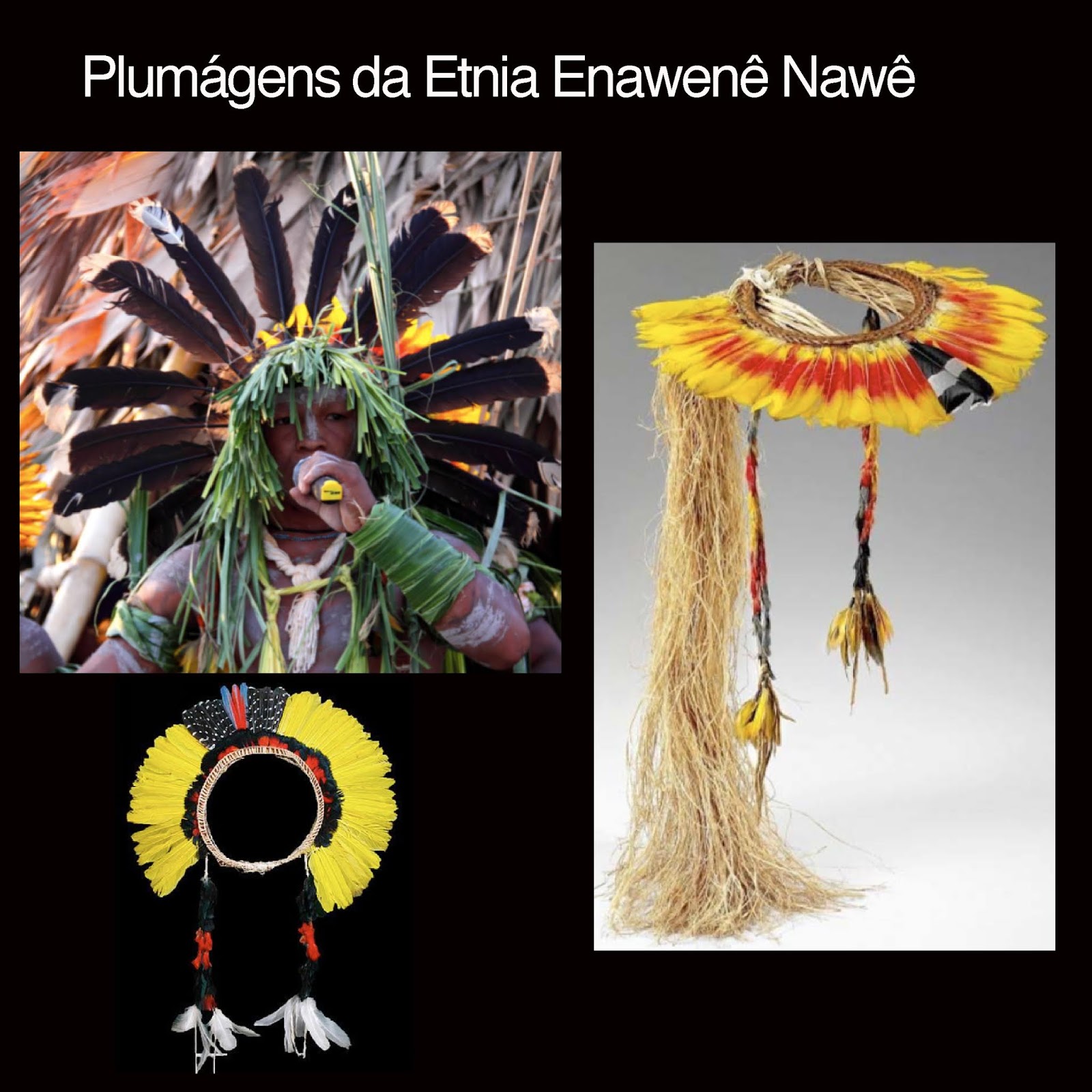 Povos Indígenas Brasileiros: Enawenê-Nawê