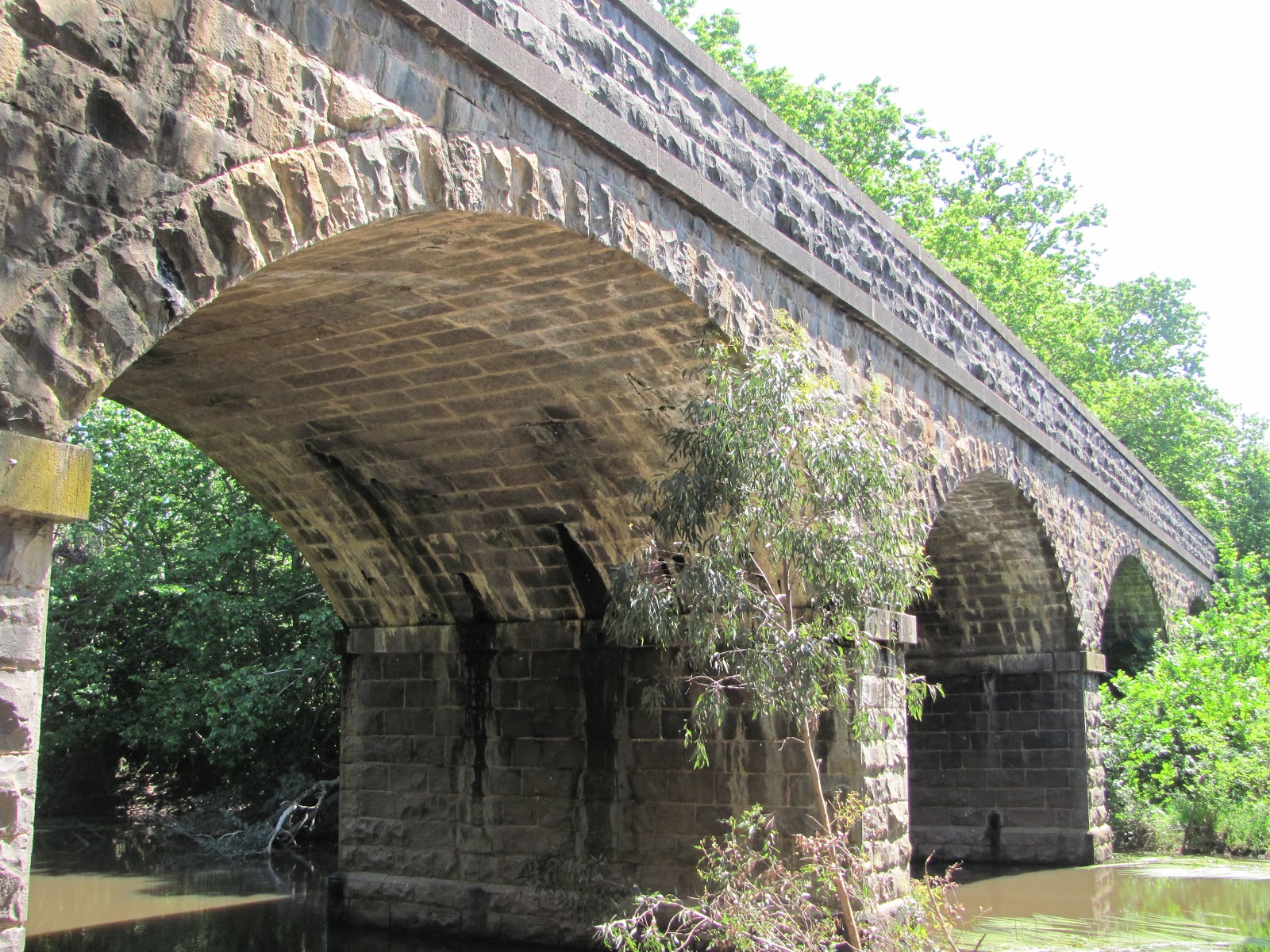 Barwon Blog: Over the Moorabool and around the world