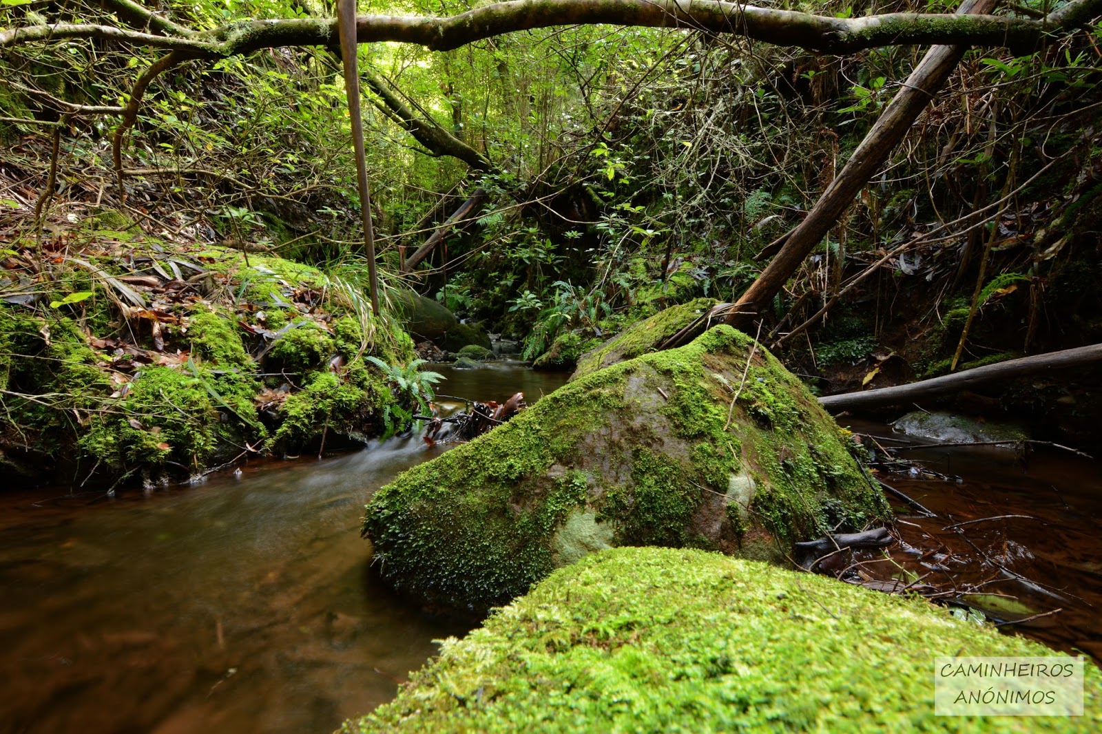 Caminheiros Anónimos Levadas da Madeira : Levada Grande (Achadas da Cruz)