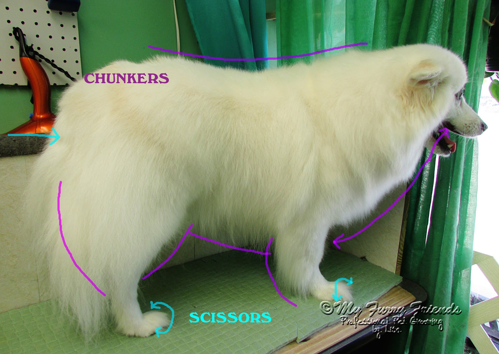 Pet Grooming: The Good, The Bad, & The Furry: Monday Makeover #10 ...