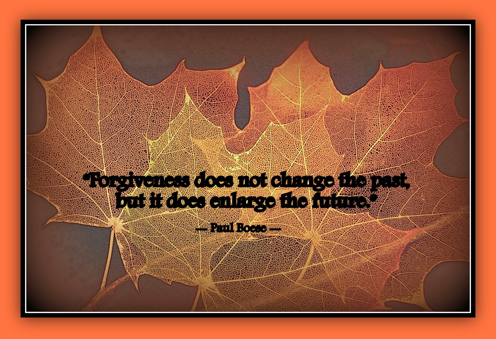 Gillowbugs & Daisy Tales: "Forgiveness ... -- Paul Boese"