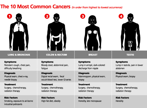 Cáncer de Mama: Cómo son los tipos de cáncer mas comunes