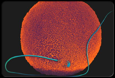 PUSAT KESEHATAN MASYARAKAT SEKURA: KONSEPSI, PERJALANAN MENAKJUBKAN ...