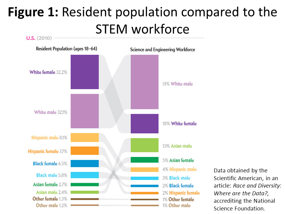 The Science Report: Addressing Racial Inequality in STEM: Numbers at a ...