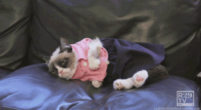 Pretty Gifs: Grumpy wearing a dress gif