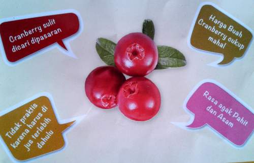 The Light Of Heaven: Mencegah Anyang-anyangan dengan Prive Uri-Cran ...