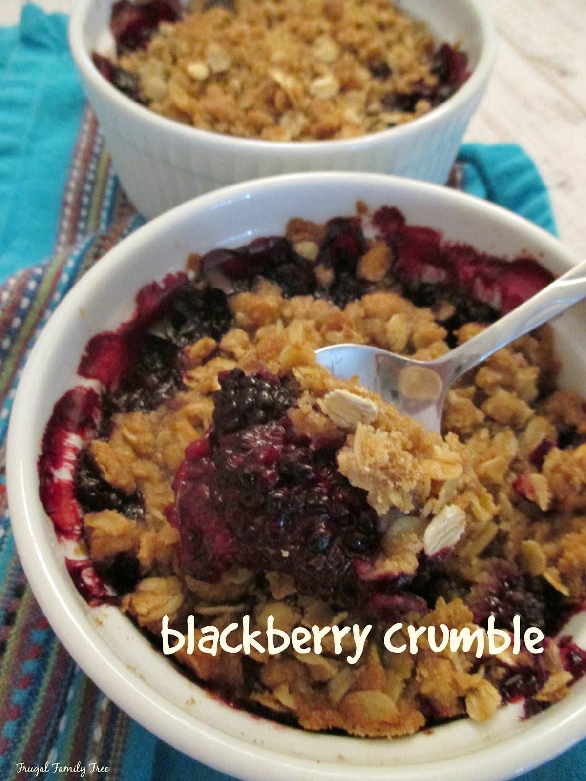 Blackberry Crumble Recipe | Frugal Family Tree