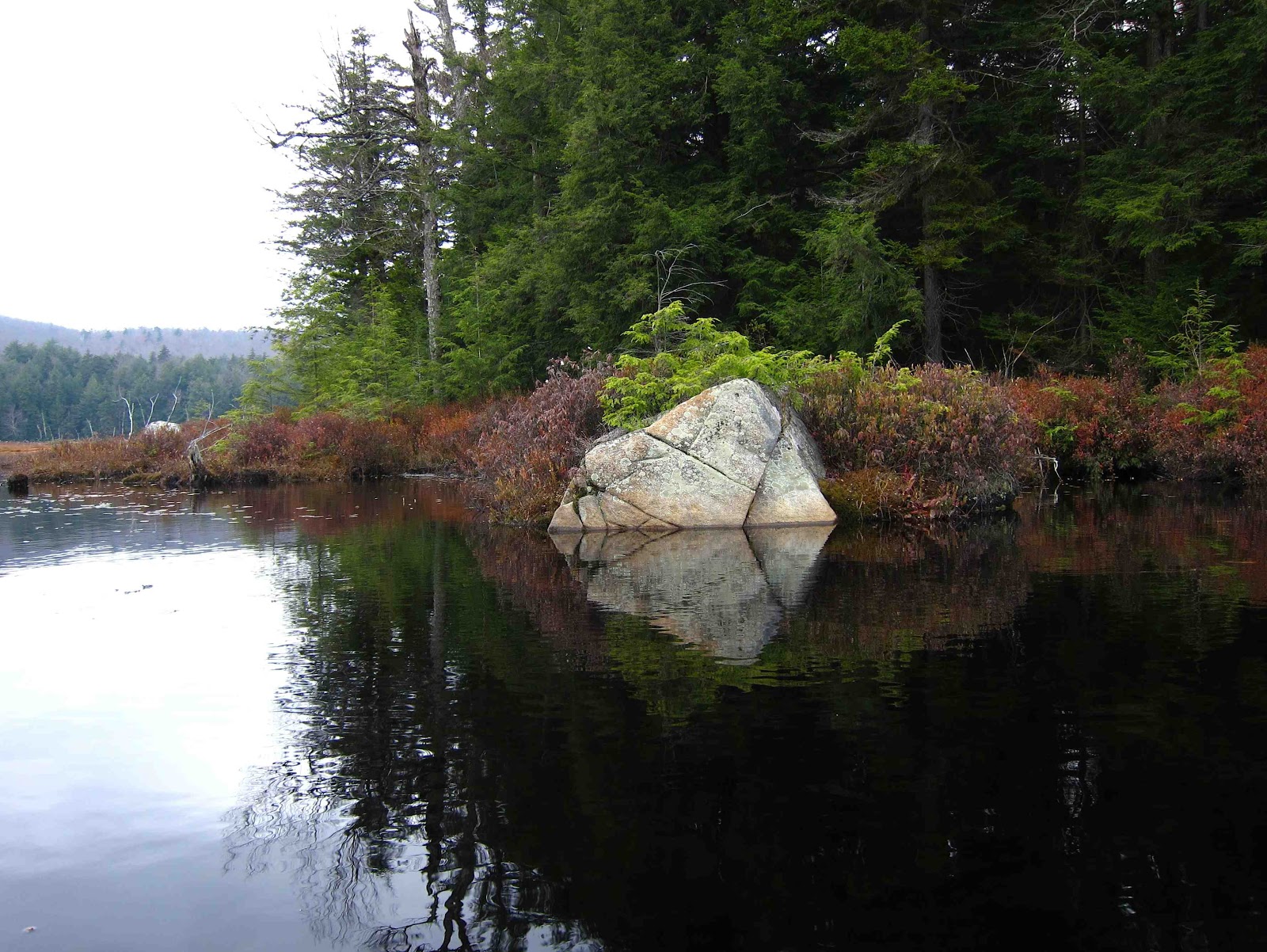 Saratoga woods and waterways: One More Paddle