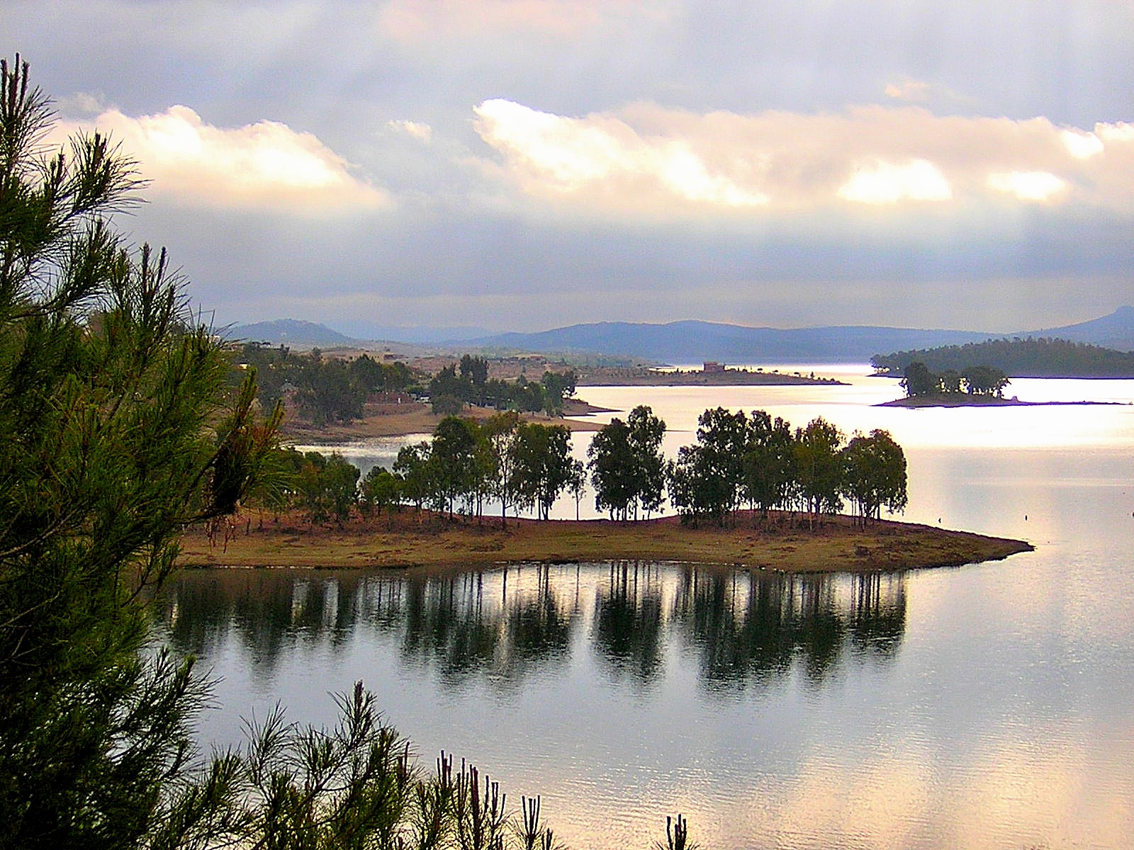 D o r e ll a n a s: mayo 2013