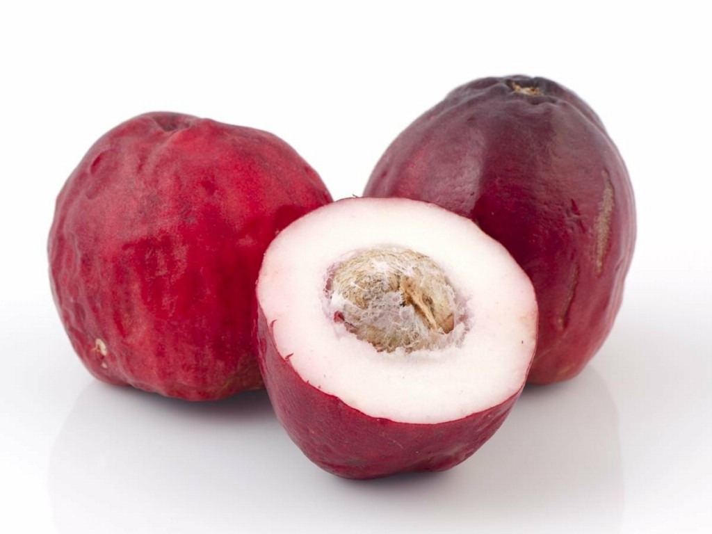 Plantas Frutíferas Água Branca: Plantas Frutíferas Grupo A