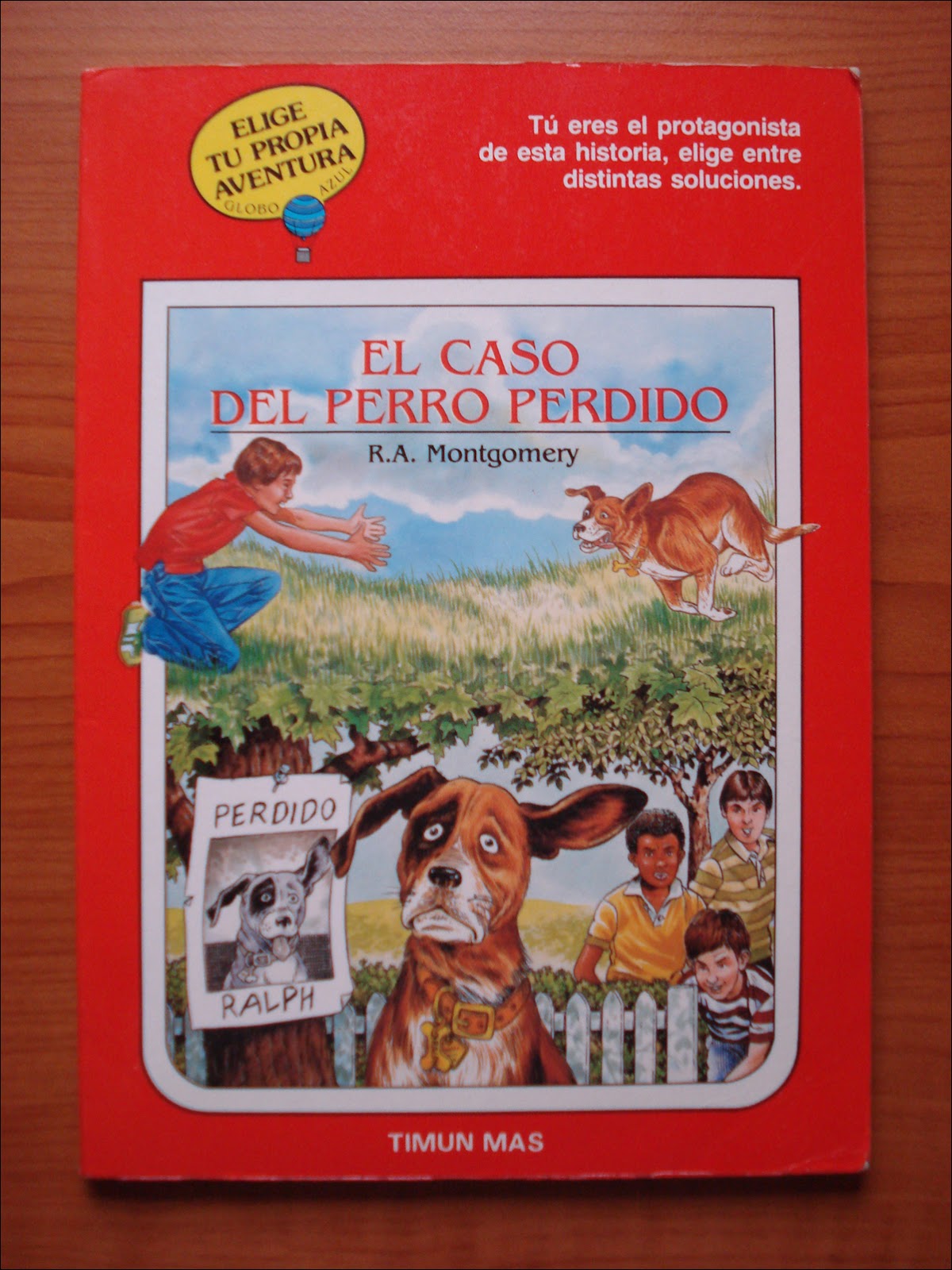 Elige tu propia aventura: 27 El caso del perro perdido