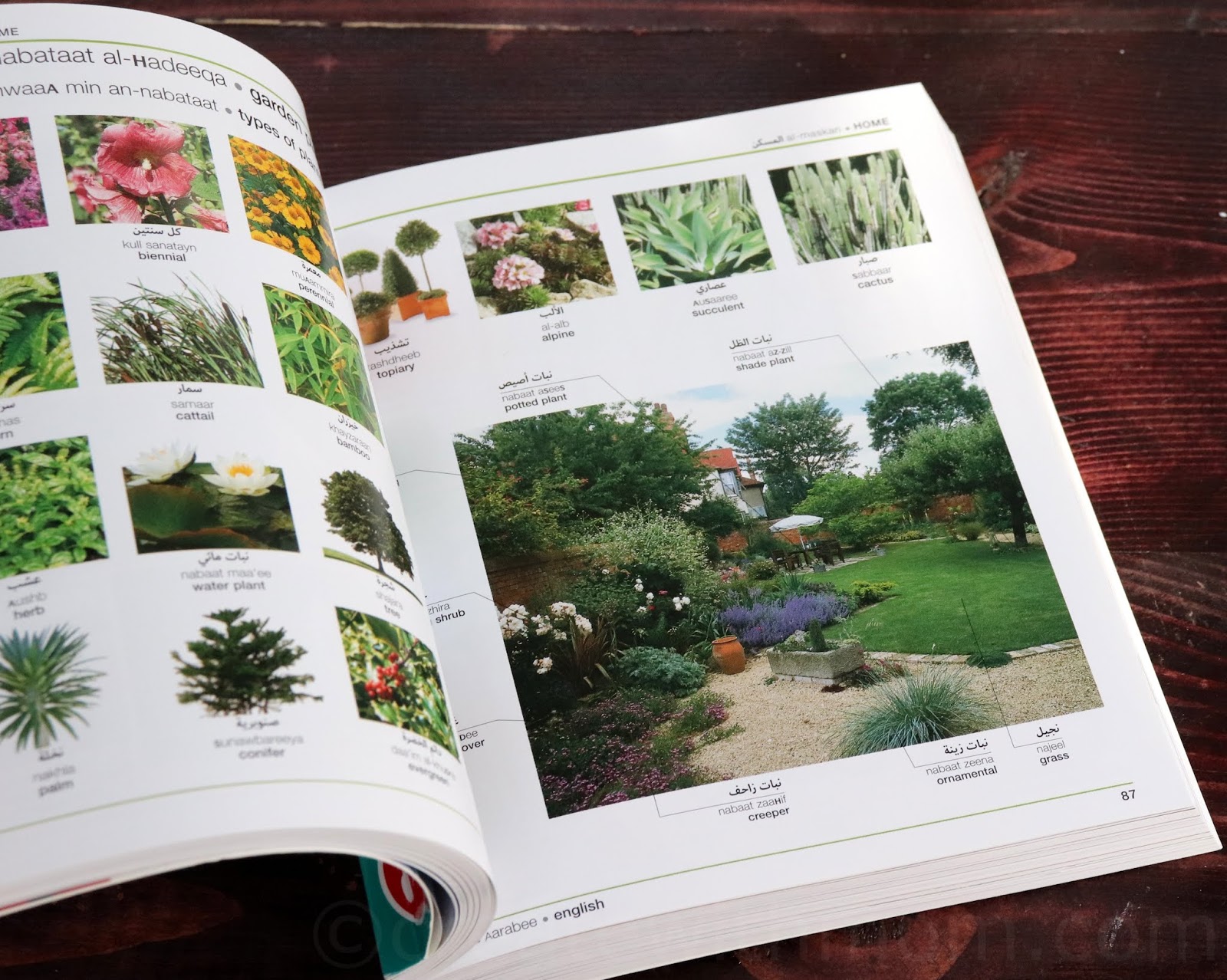 Create With Mom: Learn a new language with DK Language titles