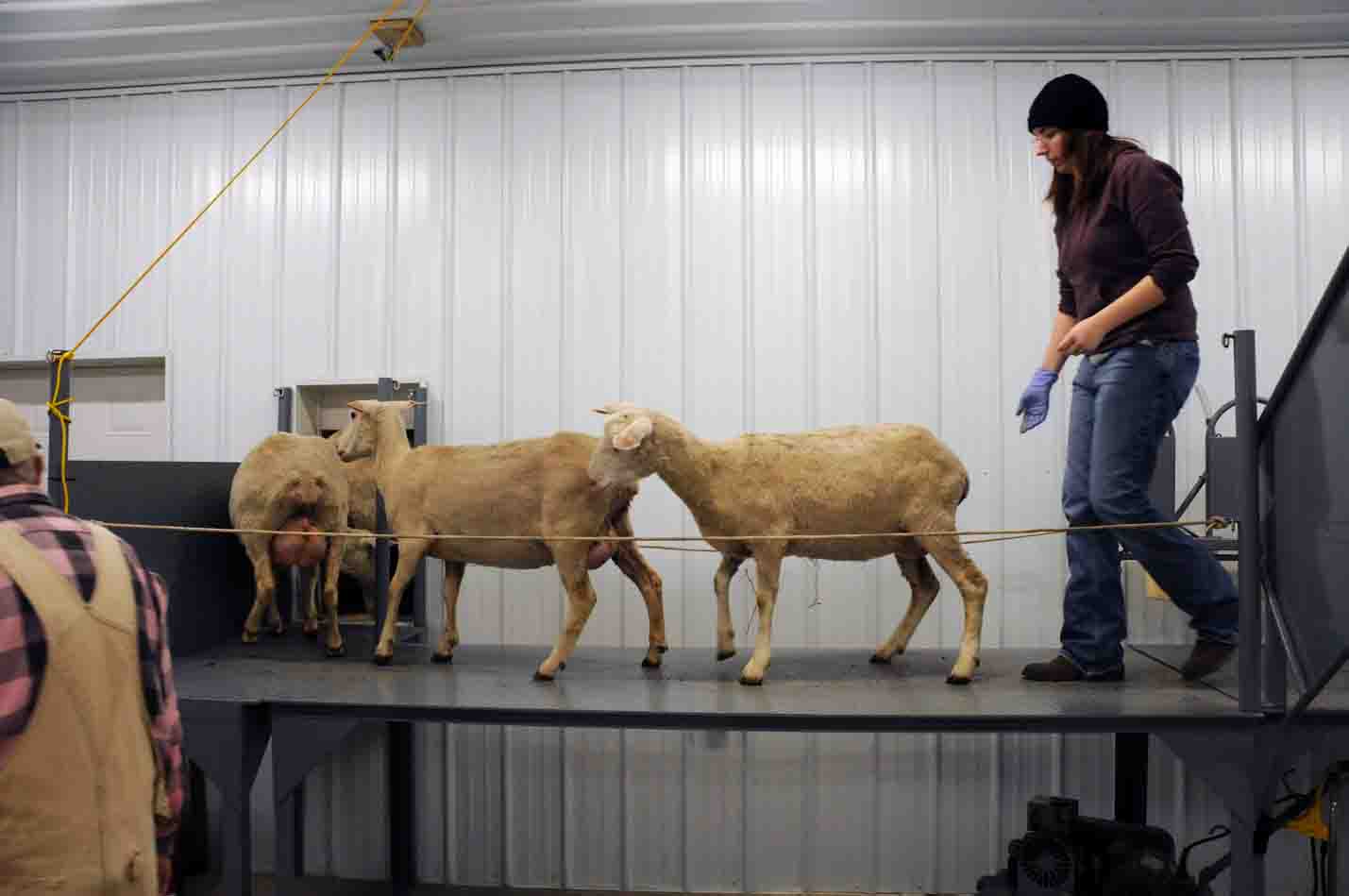 Punkin's Patch: February 2012