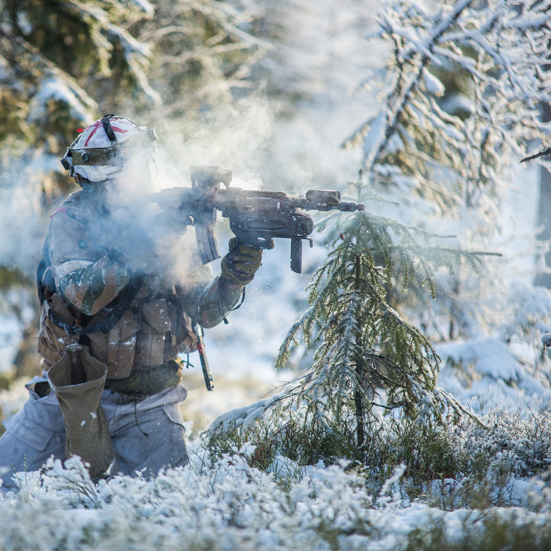 SNAFU!: Telemark Battalion on exercise...