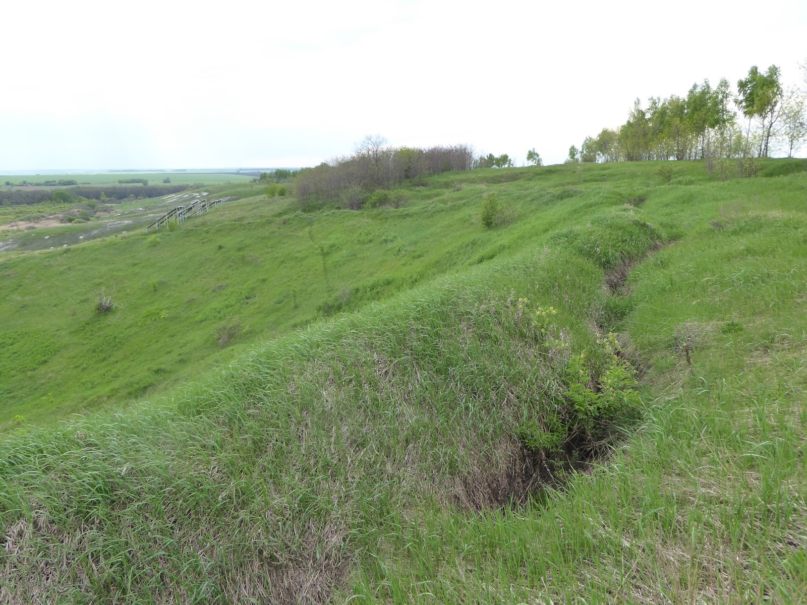 Walking the Battlefields: The Psel Bridgehead, Battle of Kursk (July 1943)