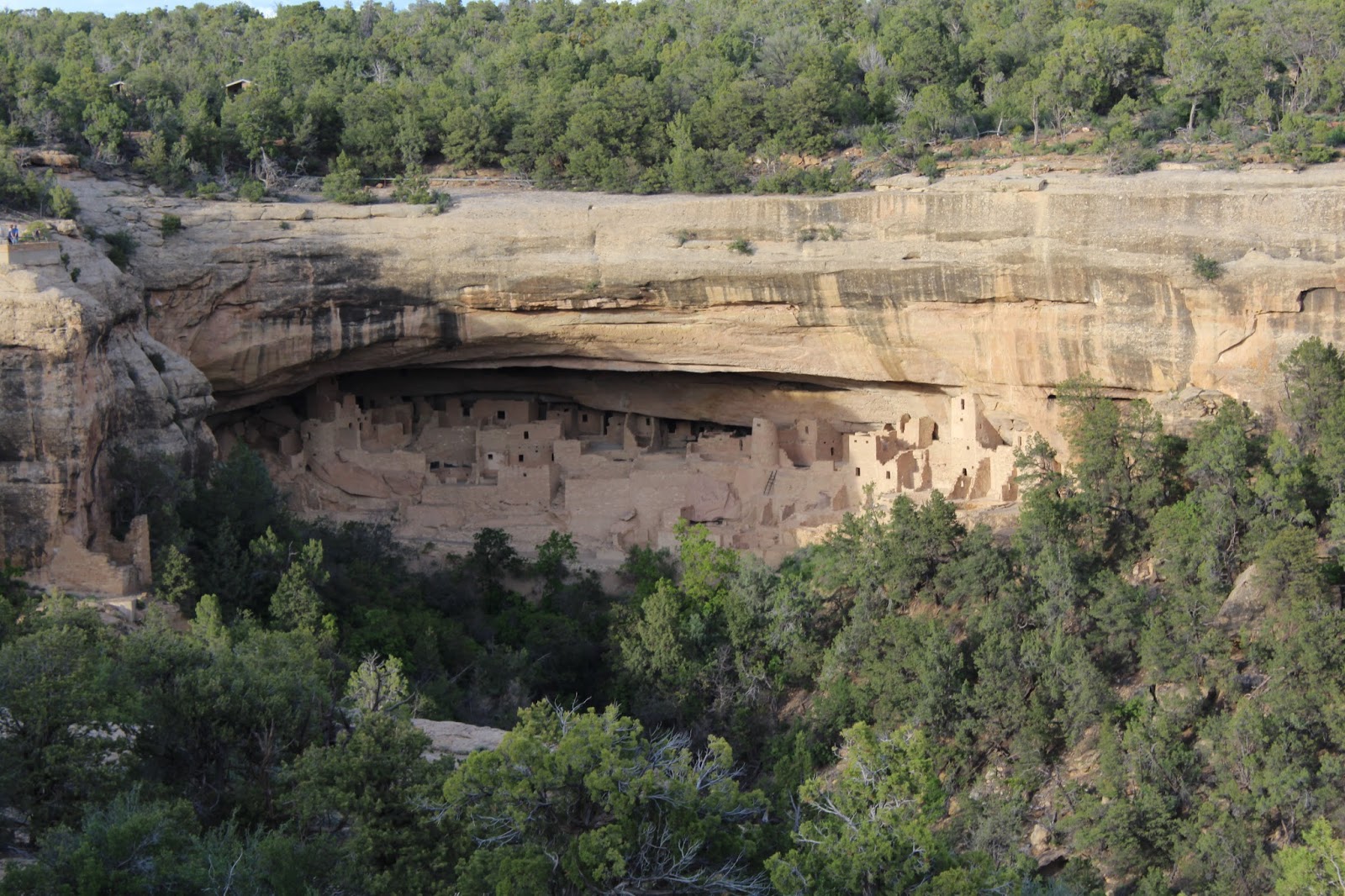 Restless Wilson's: Tall Mountains and the Real Rolling Turd