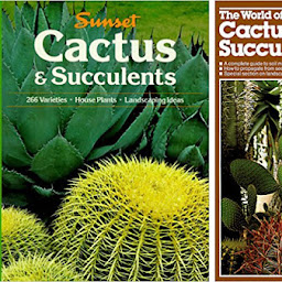 Succulents and More™