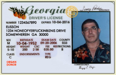 Blog d'Elisson: POETIC LICENSE