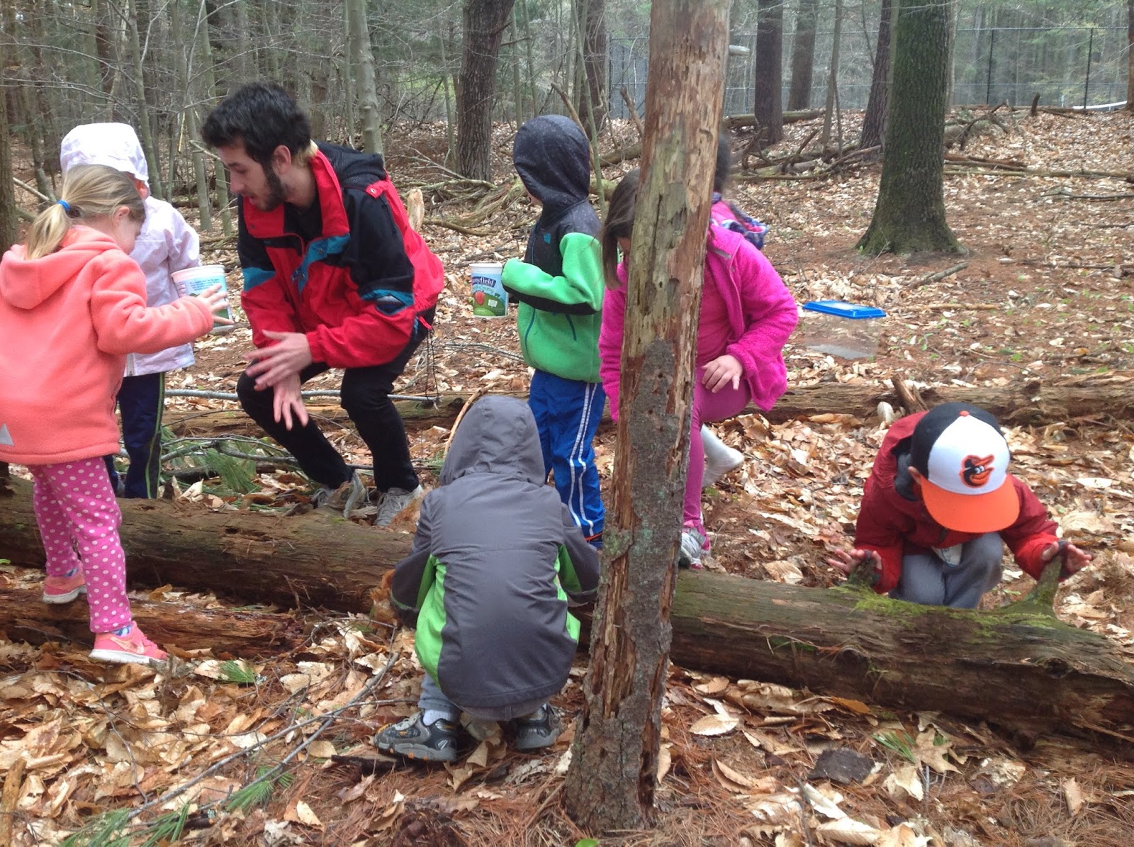 Mrs. Craven's Kindergarten: Living and Non-Living Nature Walk