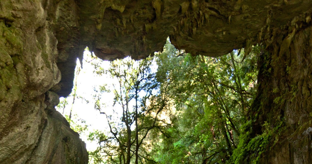 GALLERY 21 PHOTOART BLOG: MAGNIFICENT NATURAL BRIDGE – WAITOMO NZ