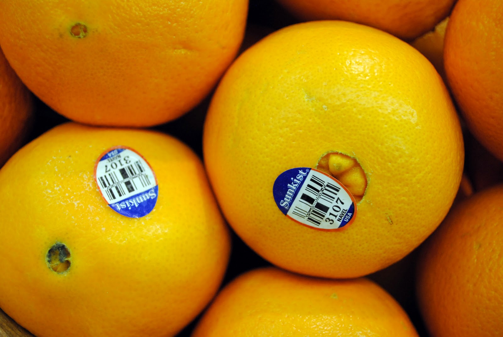 shauna crandall {the photography blog}